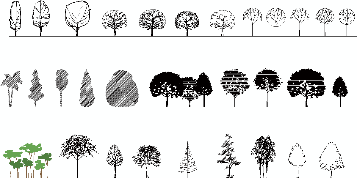 Free Tree CAD Blocks Collection – DWG Symbols