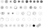 CAD Blocks of Trees in Plan View – 48 Free DWG